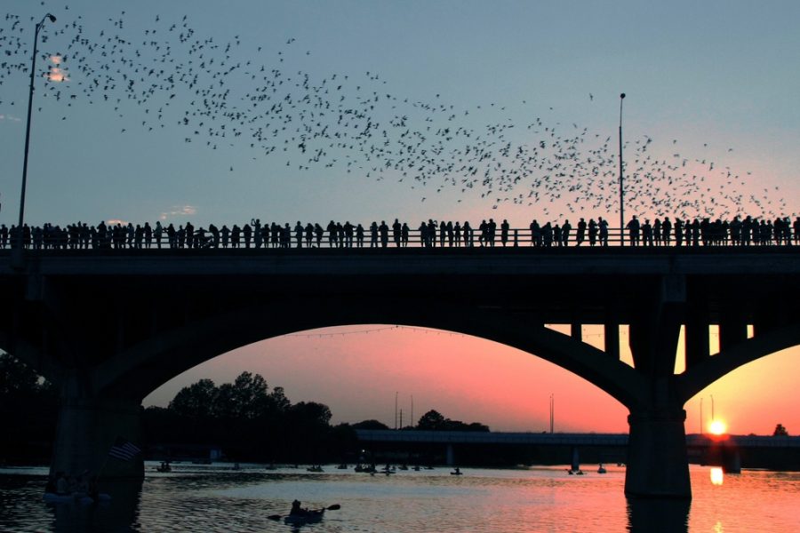The Best Festivals In Austin